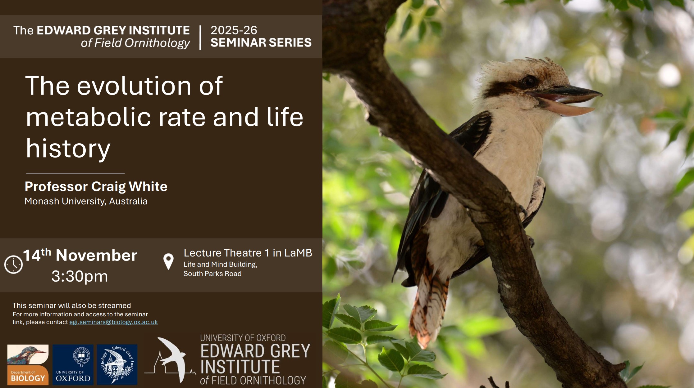 The evolution of metabolic rate and life history | Edward Grey Institute